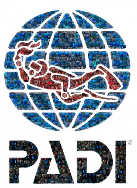 We Asked PADI Staff: What Was Your First Job?