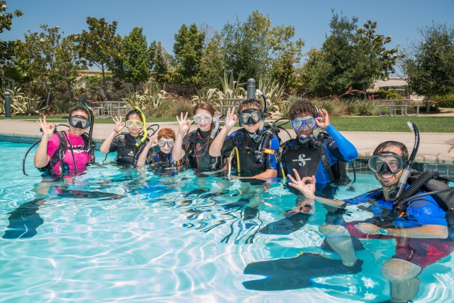 Why to Consider a Scuba Holiday with your Kids