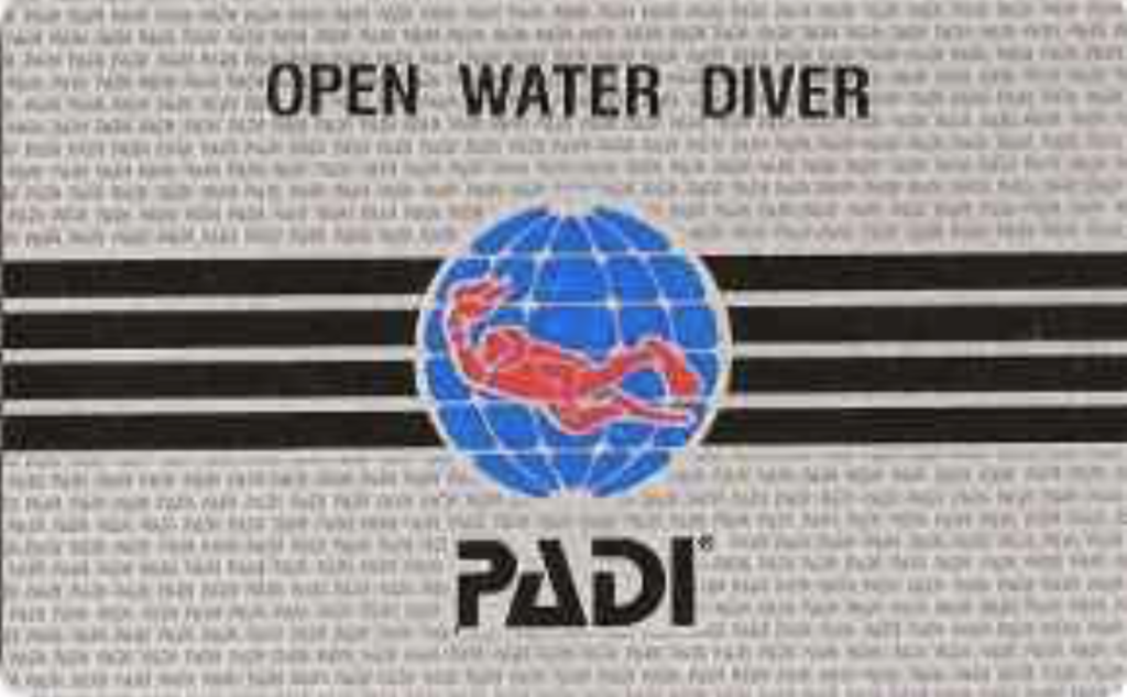 The PADI Story: How Frustration and Scotch Sparked the Creation of the ...