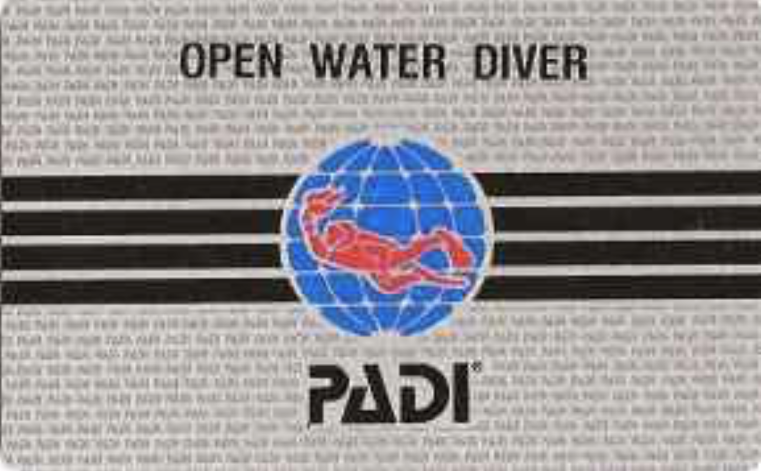 The PADI Story: How Frustration and Scotch Sparked the Creation of the ...