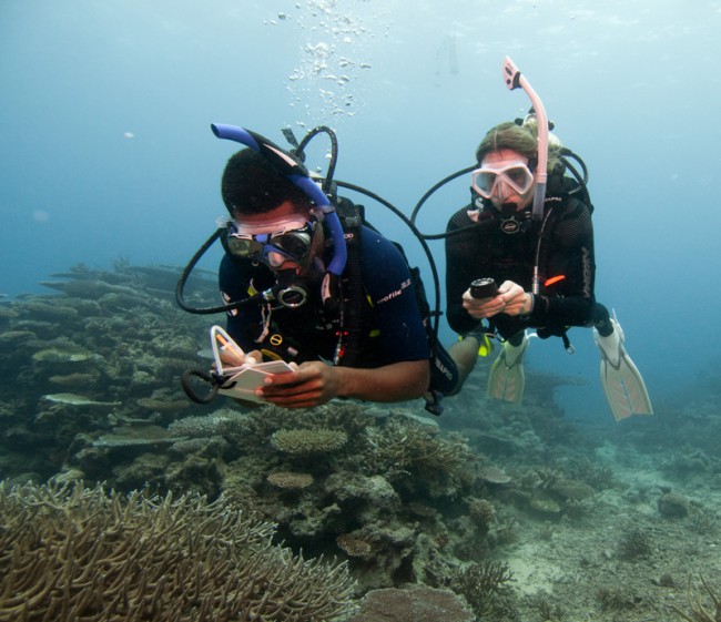 Follow the underwater road with PADI Underwater Navigator