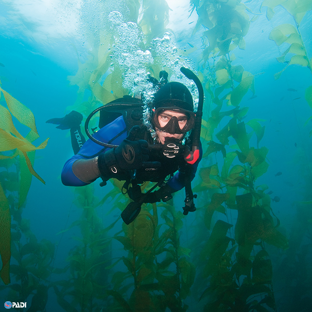 Join PADI at the World of Water Phoenix Dive & Travel Expo
