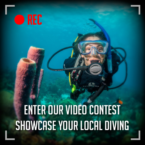 Showcase Your Local Diving - Video Contest