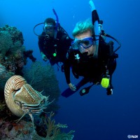 10 of the Oldest Marine Species that Still Exist Today