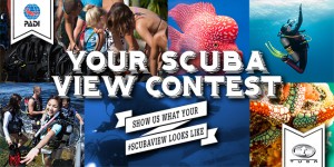 Your Scuba View PADI Photo Contest