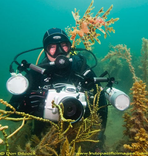 Interview with Jayne Jenkins, an Inspirer of Ocean-Lovers