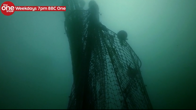 Divers Remove Giant Net from Reef in Cornwall