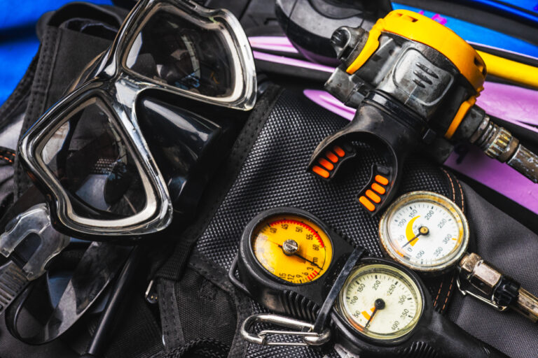 The 5 Best PADI Specialties for Beginners