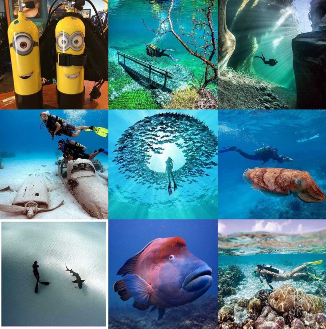 Top Diving Photos of 2015 from @paditv