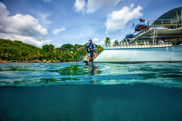 7 Must-Dive Sites in Saint Lucia