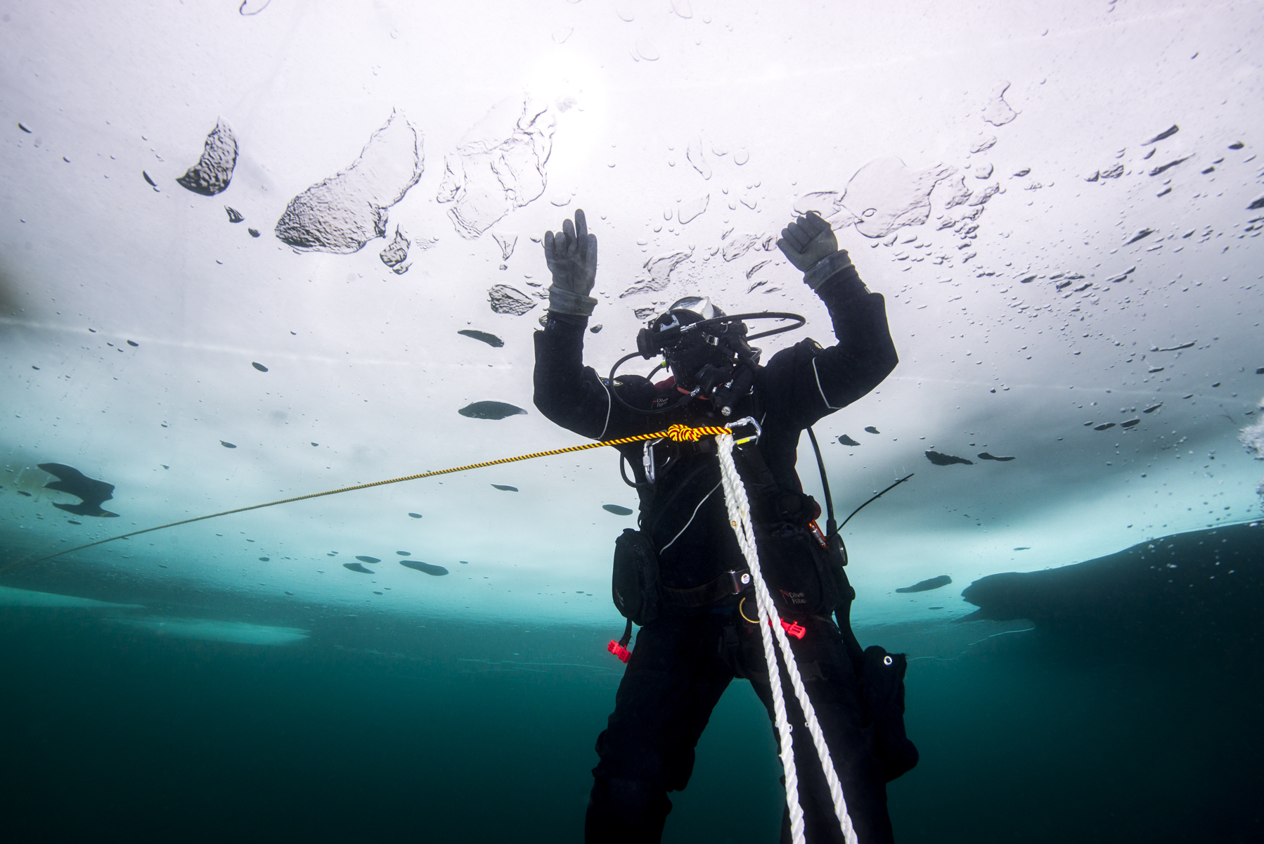American Idol: PADI Scuba Instructor Dives the 50 States