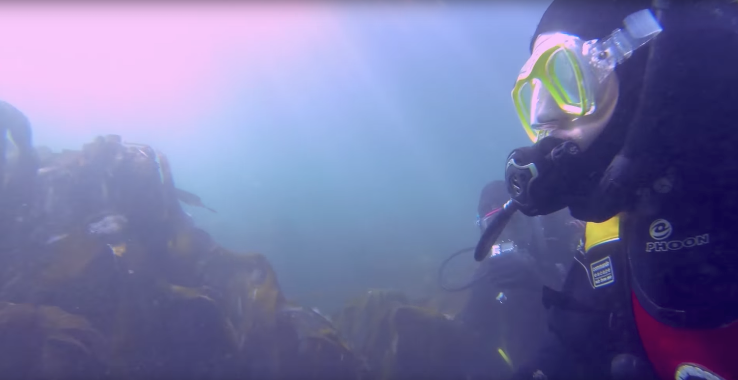 Diving in the UK