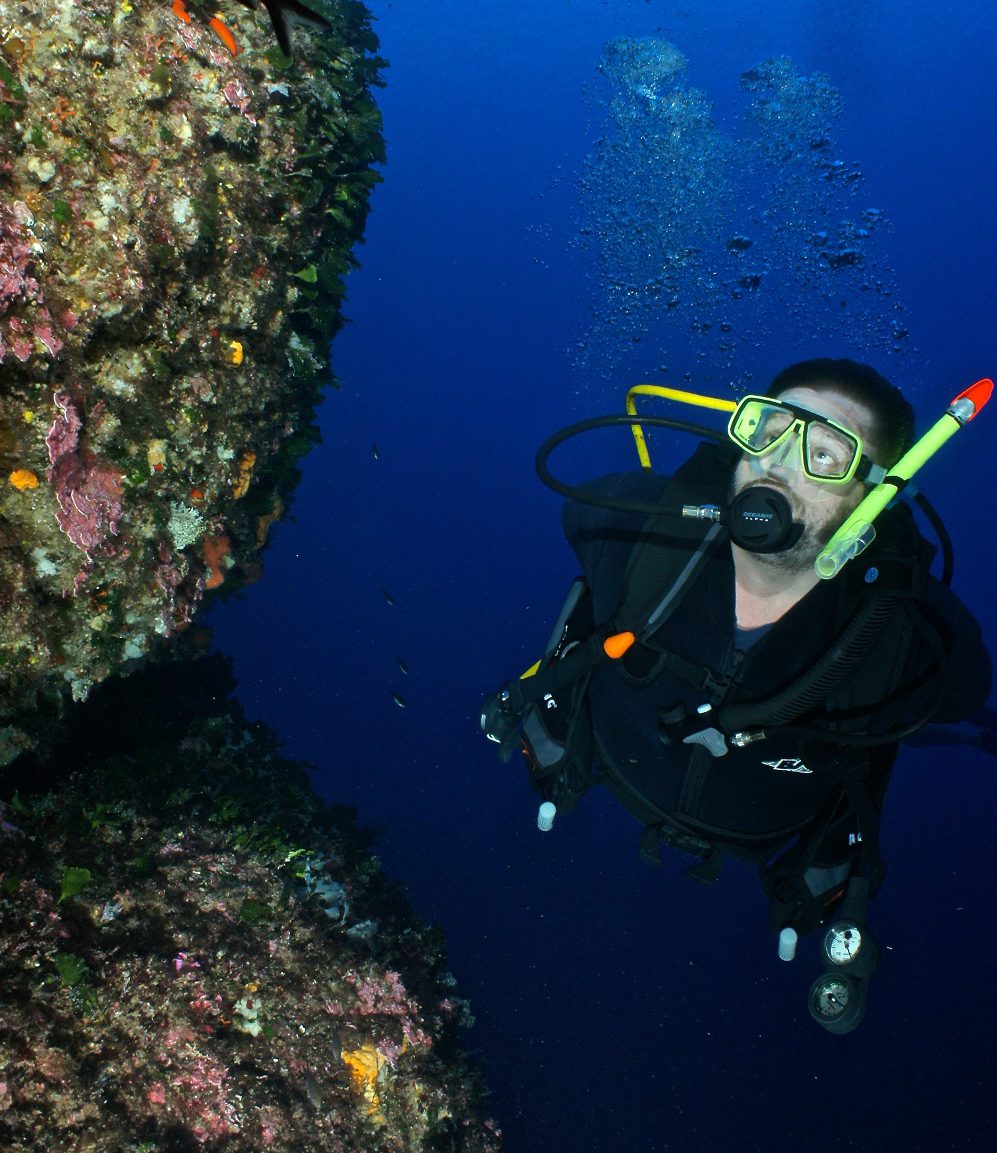 We Asked PADI Staff: Who’s Your Favourite Dive Buddy and Why?