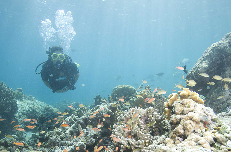 Plongée: Méditation sous-marine