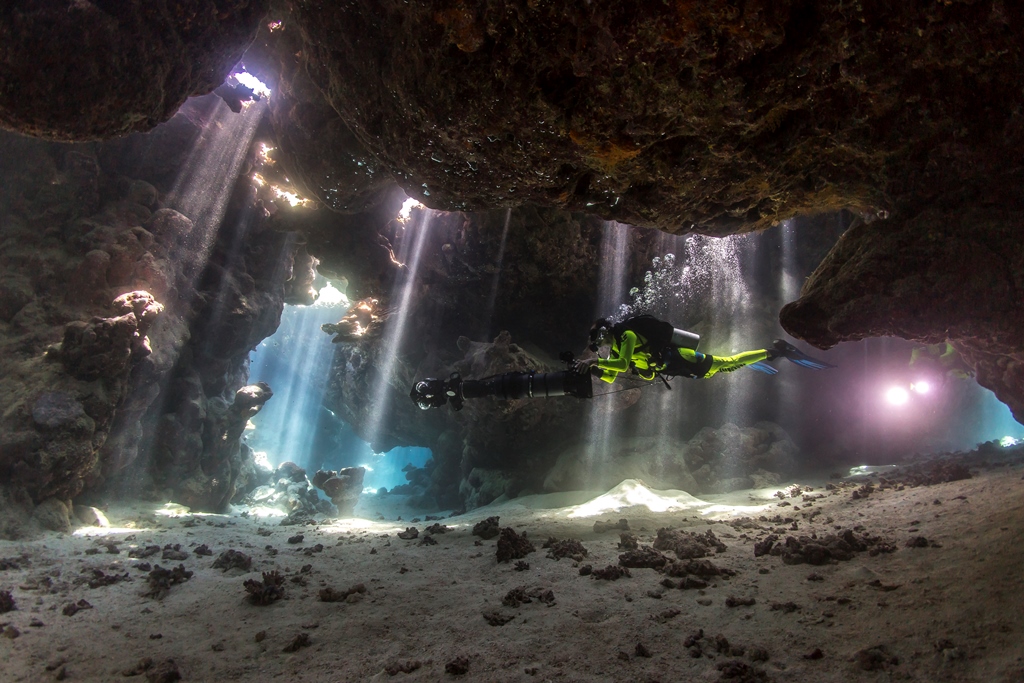 Tec Dossier - Martin Robson