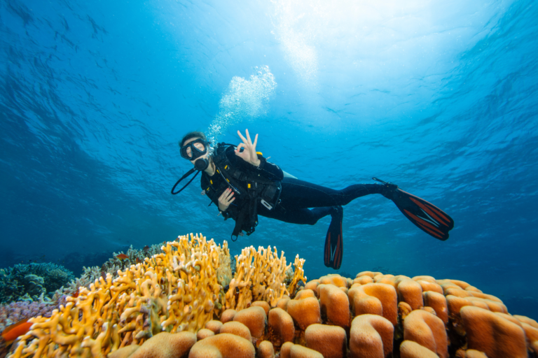 How to Scuba Dive: A Guide for Beginners [WITH PHOTOS]
