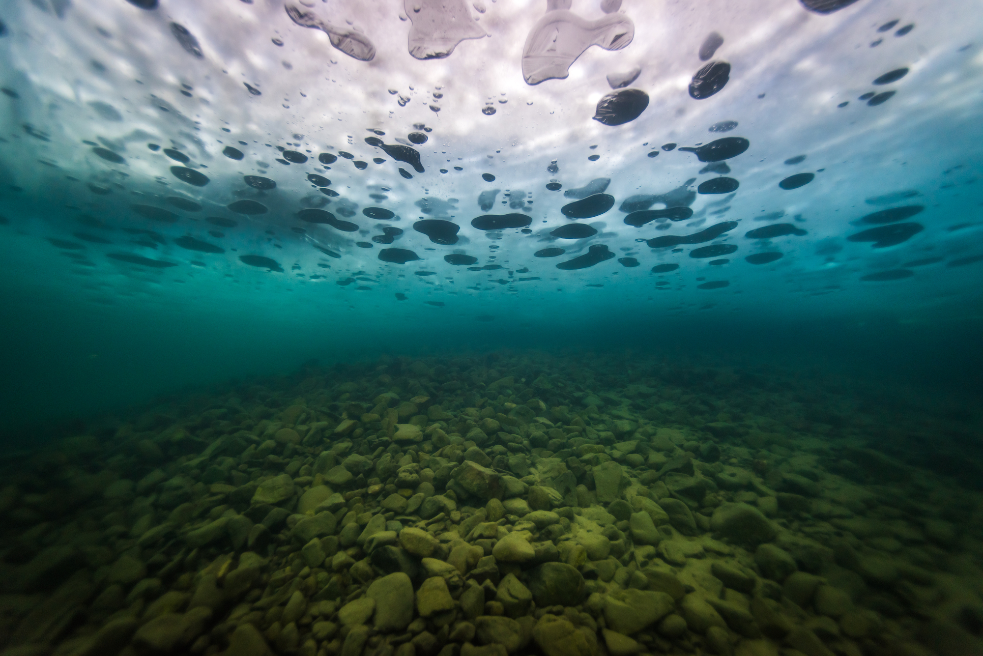 Top 5 Winter Diving Hotspots