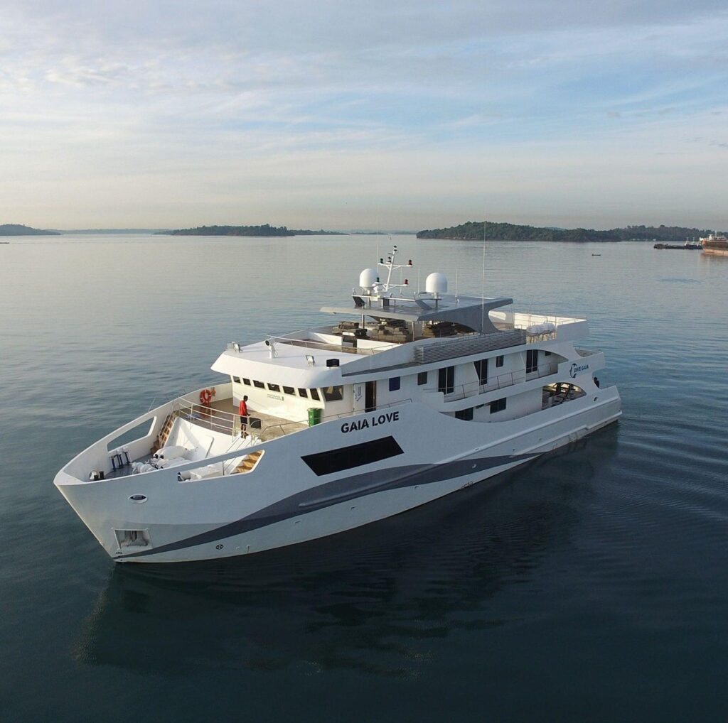 The Best Liveaboards in Raja Ampat