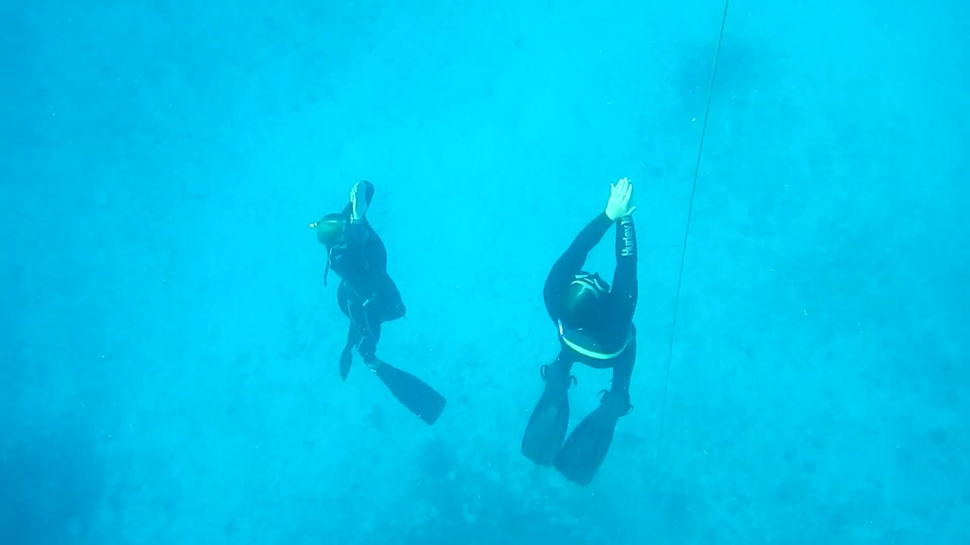 Freediving in the Caribbean with Odyssey Expeditions