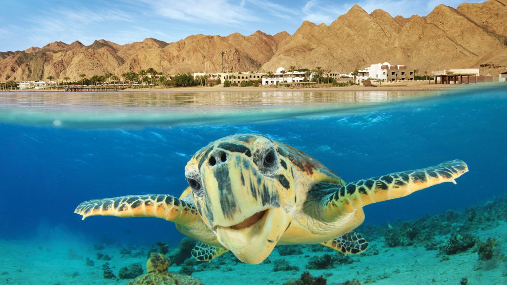 Ägypten und Rotes Meer