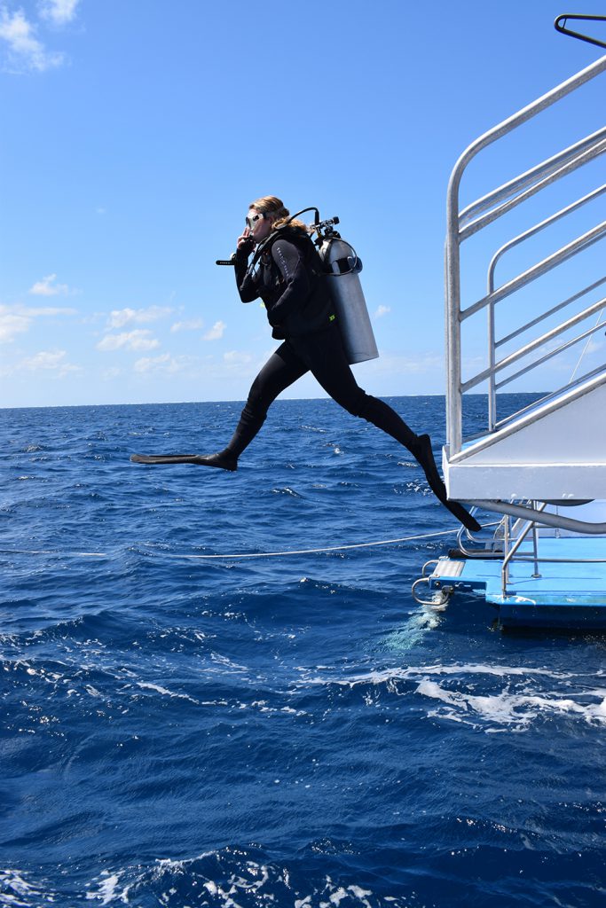 Trip of a Lifetime to Great Barrier Reef Doesn't Dissappoint