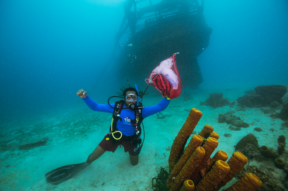 Giving Back to the Ocean and Marine Life We All Love