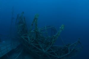 Dive in the United States - Top Dive Sites in The Top 4 Diving States
