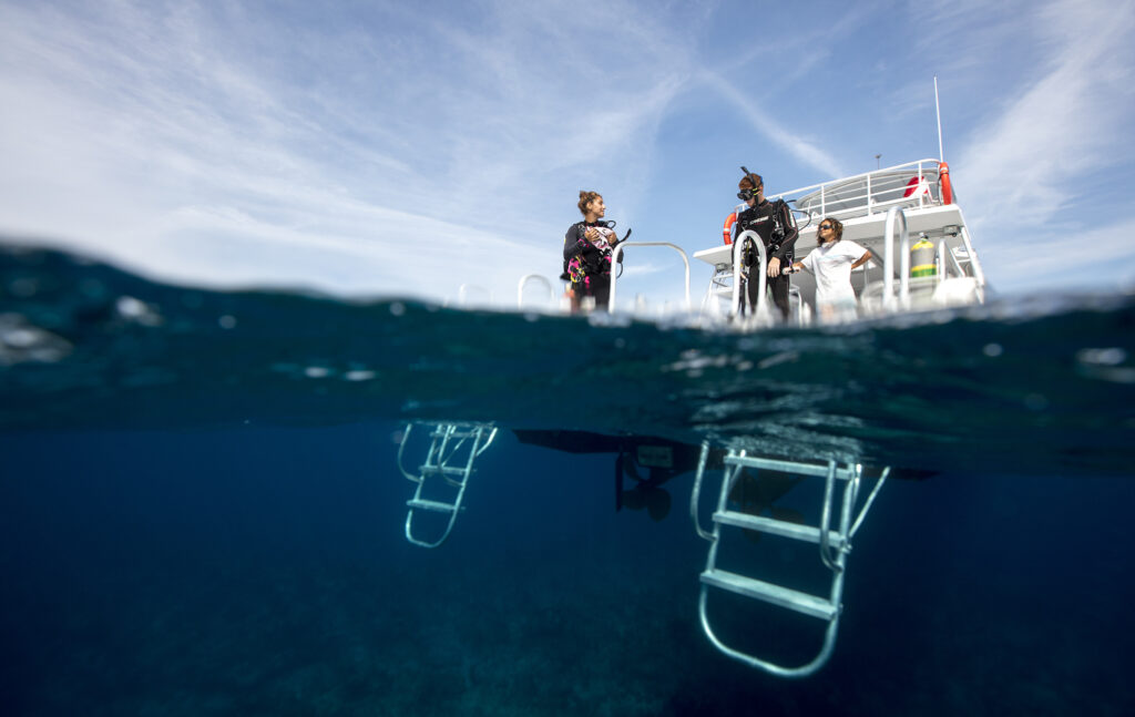 Scuba Diving Internships: What You Need to Know