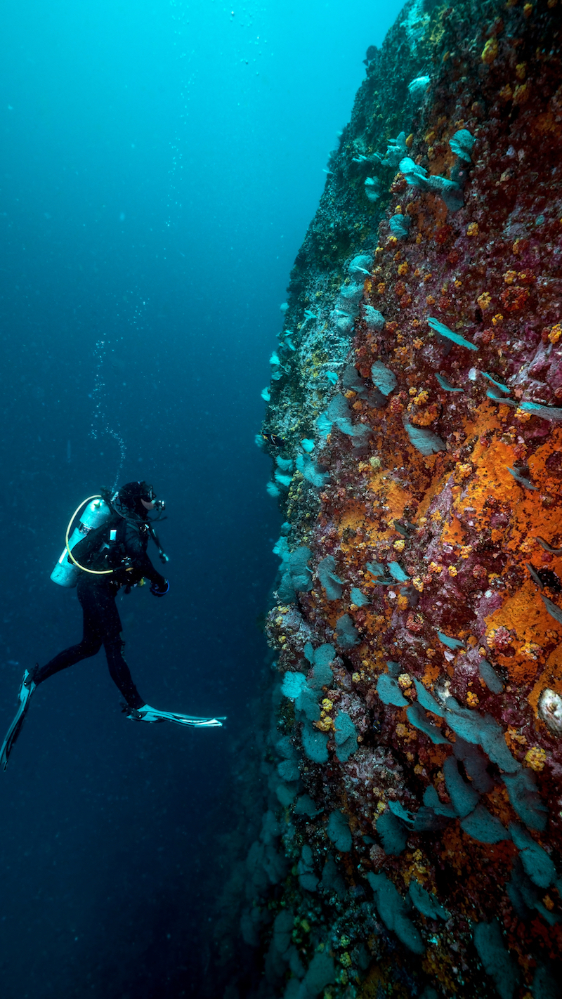 Must Dive Sites in Colombia