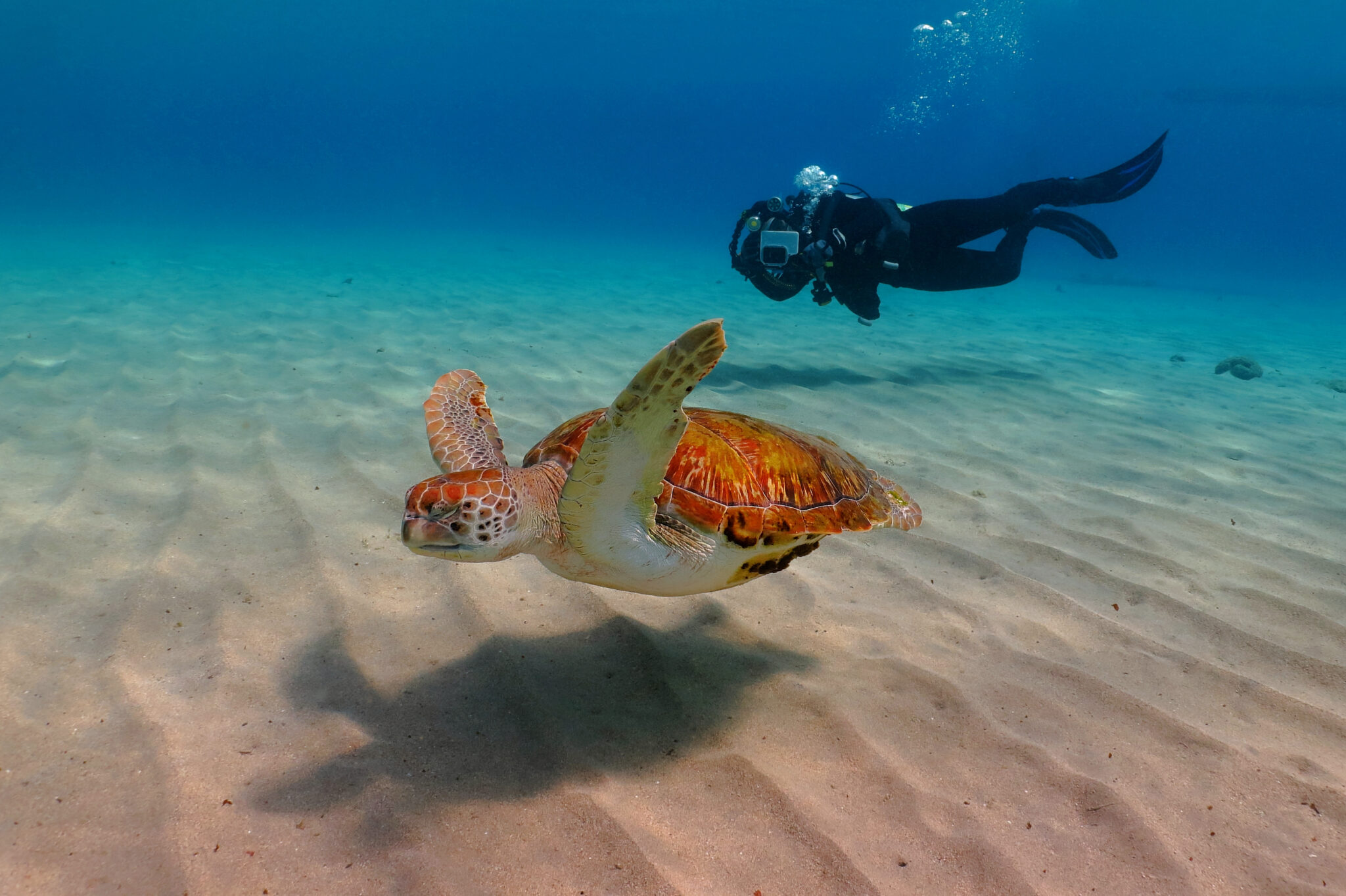 The Top Must-Dive Areas in Colombia
