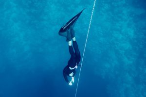 Types of Freediving: The Different Disciplines Explained