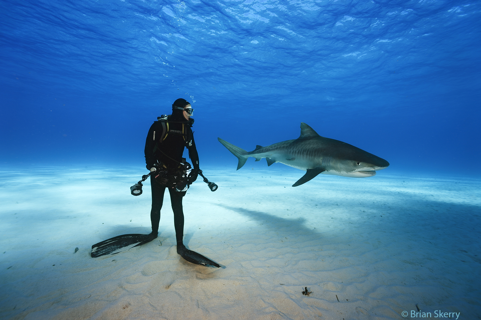 Brian Skerry: The Evolution of an Underwater Explorer