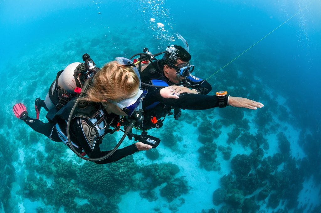 Everything You Need to Know About Becoming a Professional Scuba Diver