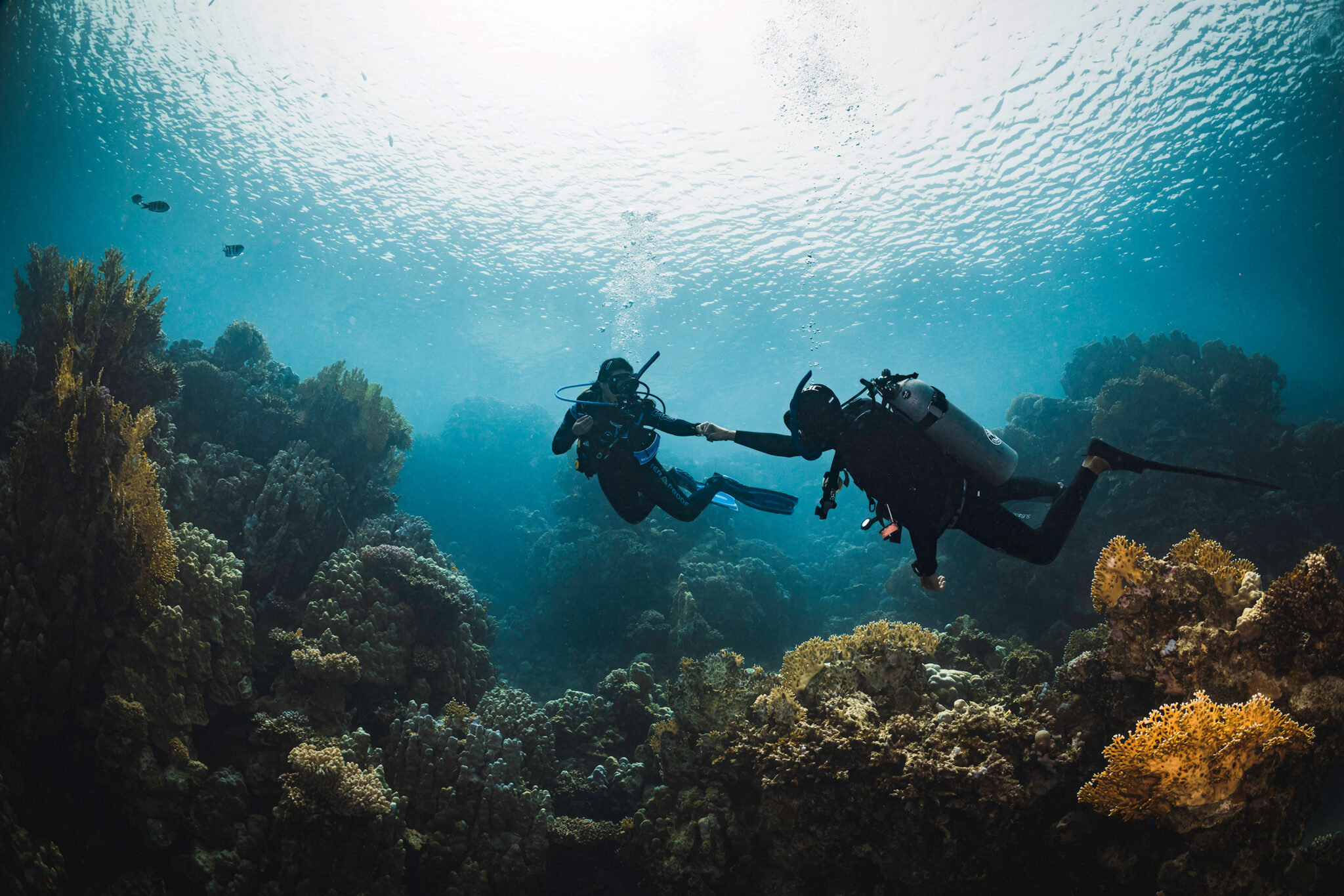 What to Consider Before Taking Your PADI Instructor Development Course