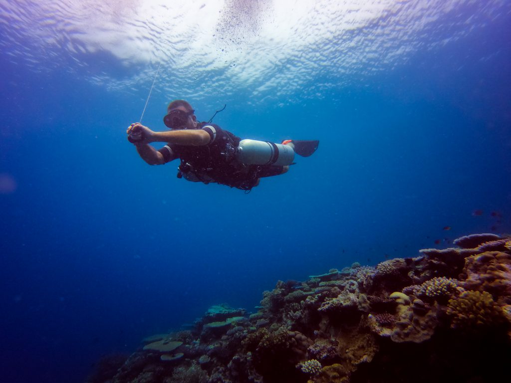 PADI Courses