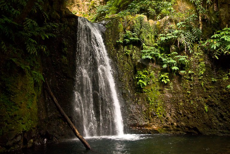 The Azores – a Marine Life Magnet in the Atlantic