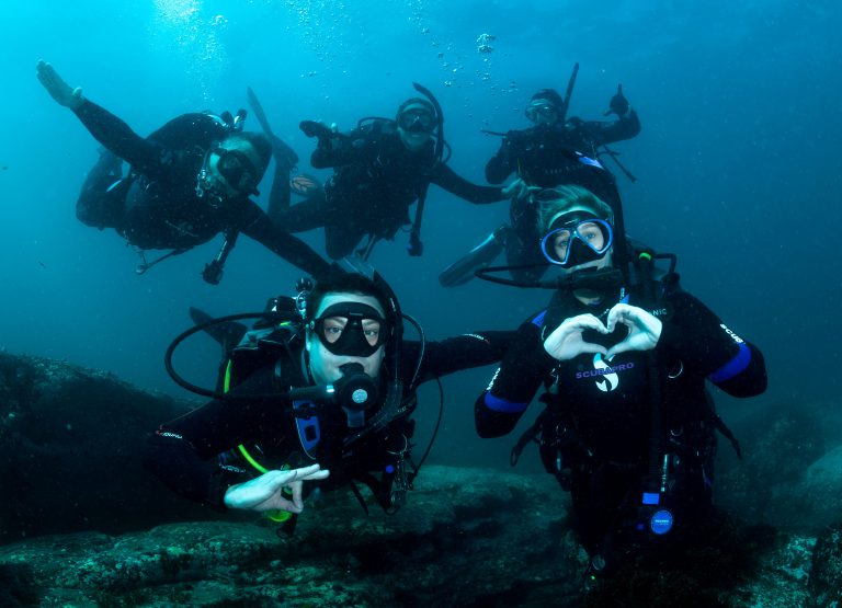 What are the 4 PADI Open Water Dives?