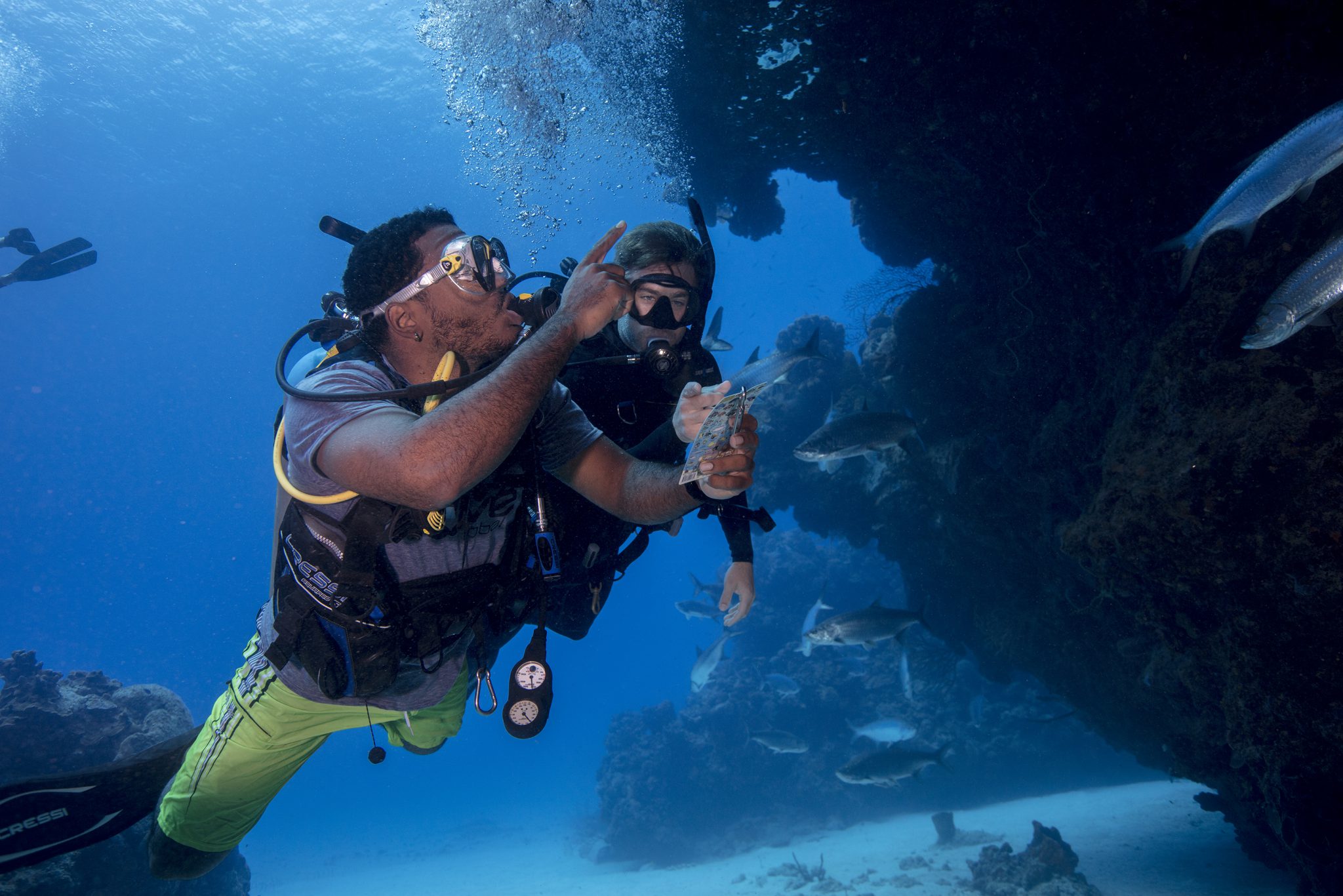 Diving Instructor – Is it Really the Easiest Job in the World?