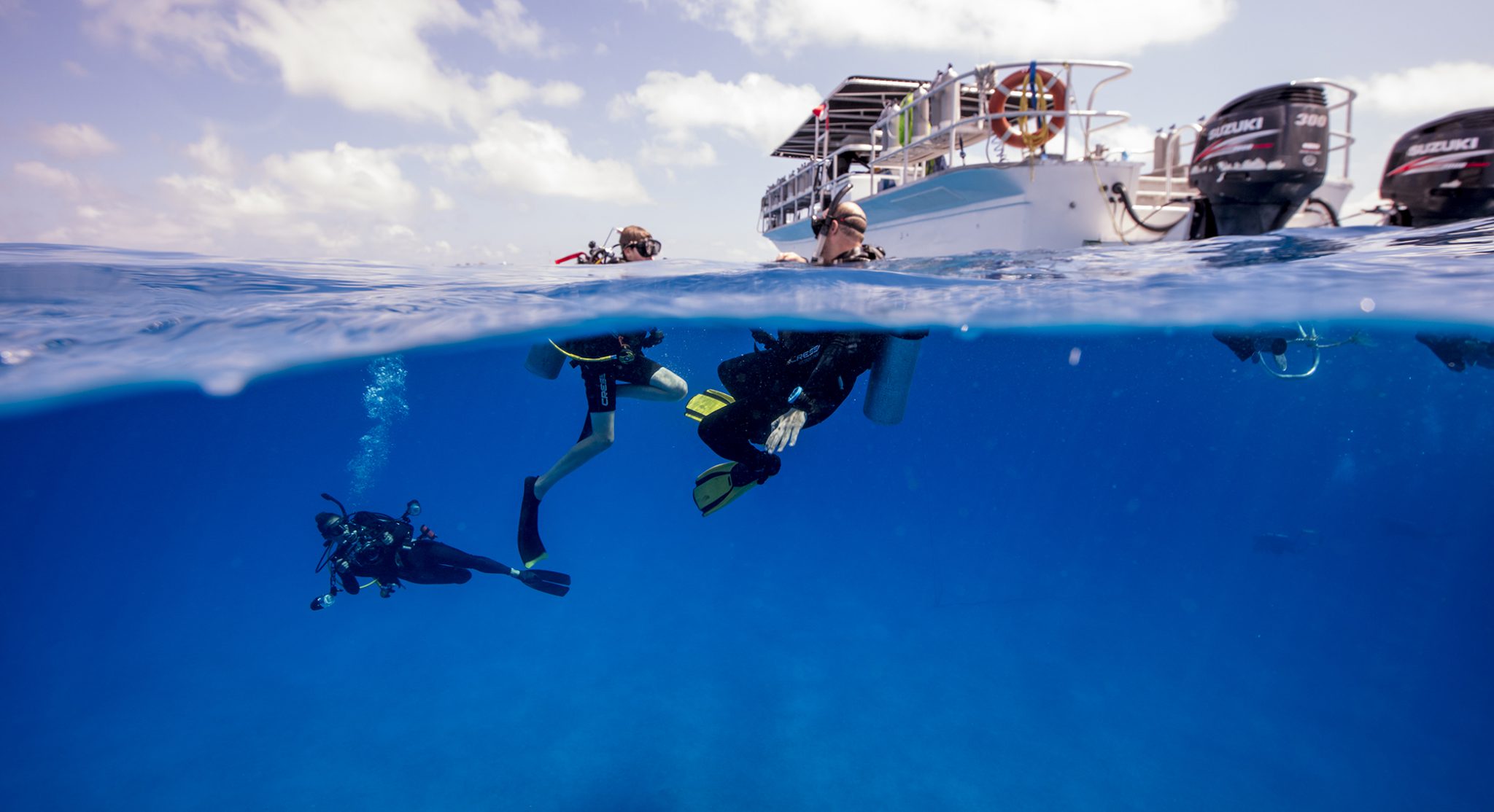 Why Diving is the Perfect Hobby for those who Love Studying