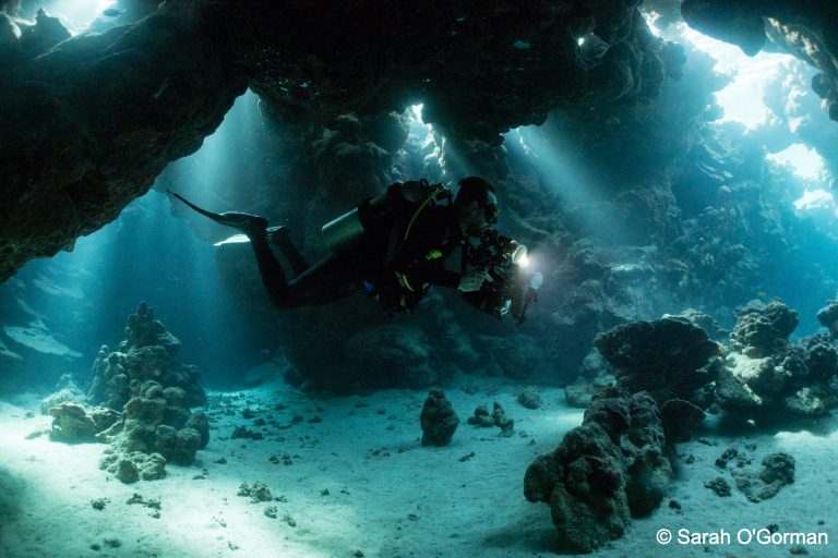 The Top 15 Dive Sites in Egypt