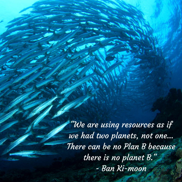 11 Inspiring Quotes That’ll Make You Want to Protect the Ocean