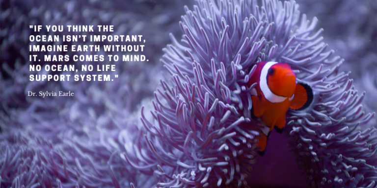 Inspiring Quotes That’ll Make You Want to Protect the Ocean