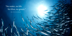 Inspiring Quotes That’ll Make You Want to Protect the Ocean