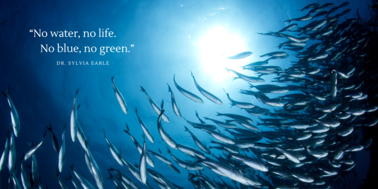Inspiring Quotes That’ll Make You Want to Protect the Ocean