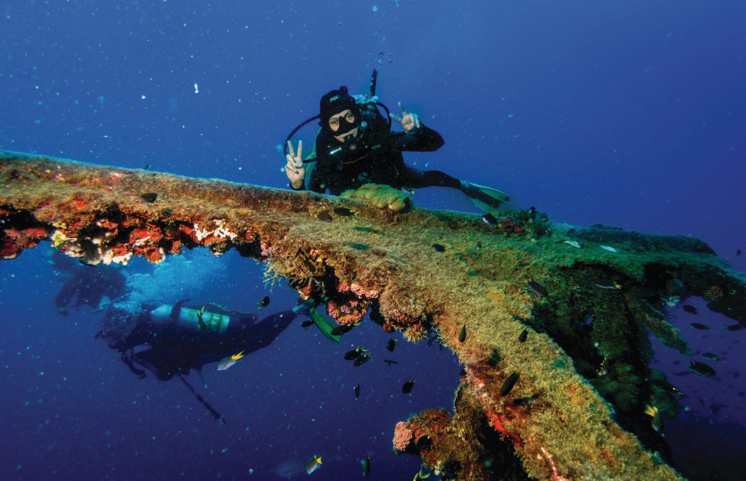 11 Top Dive Sites of Australia's Great Barrier Reef