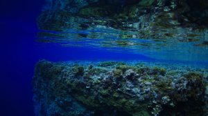 Escape to Pohnpei, Micronesia's Best Kept Secret