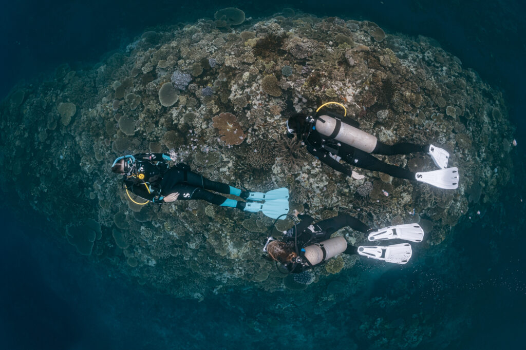 7 Must-Dive Destinations in Fiji