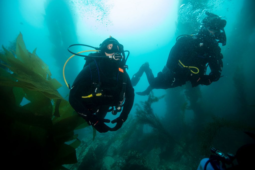 Here's Why Scuba Diving is the Best Retirement Job