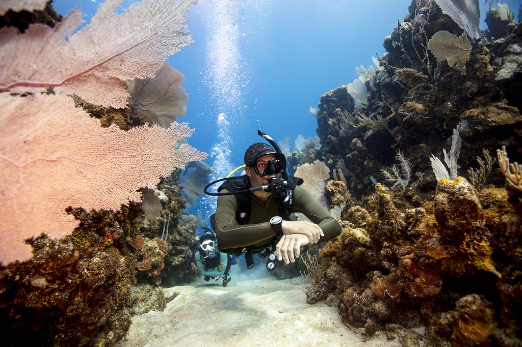 5 Reasons to Book a One-Way Ticket to Utila