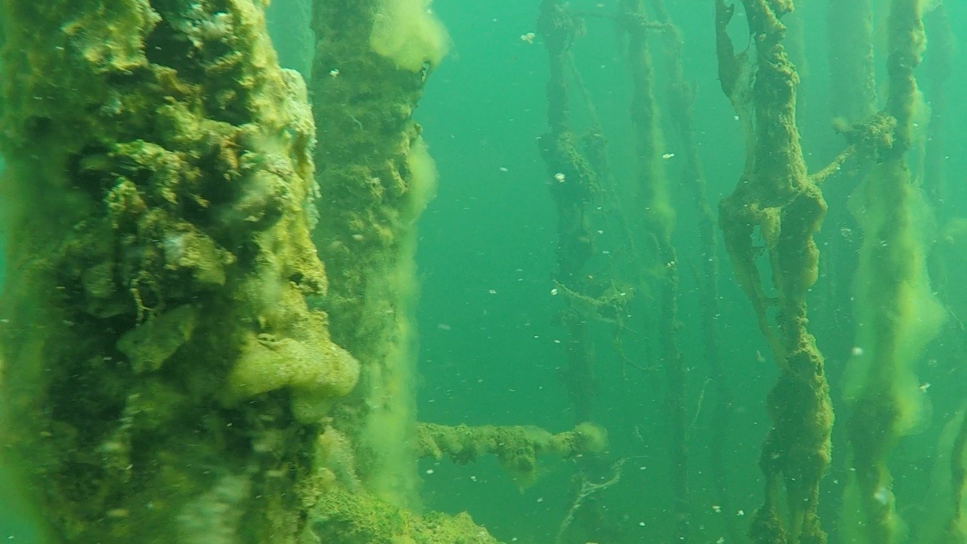 Diving Rummu Prison Quarry